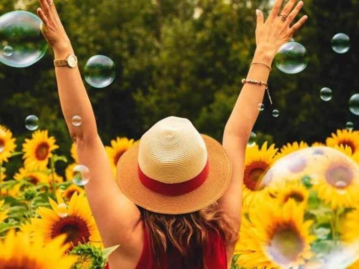 Las 5 Ventajas Del Uso De Las Braguitas Menstruales Lelambu
